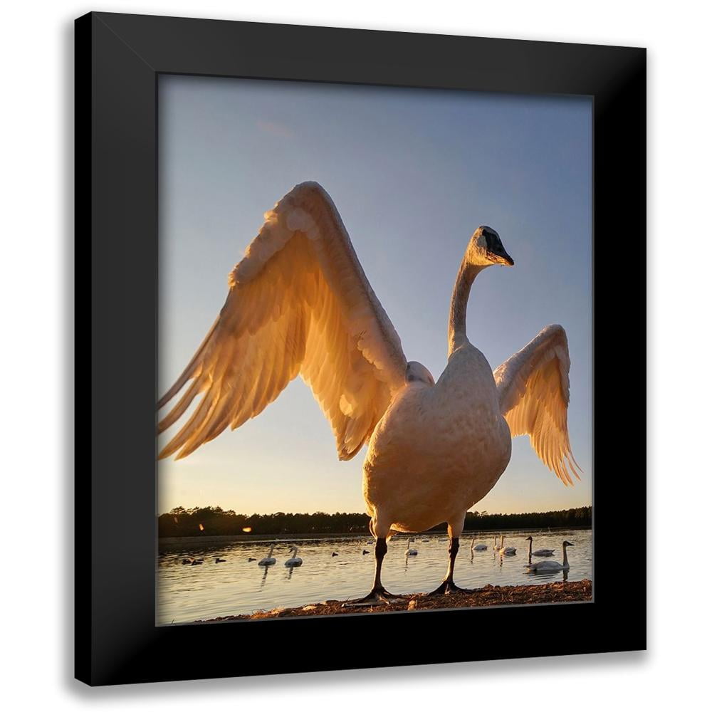 Fitzharris, Tim 12x14 Black Modern Framed Museum Art Print Titled ...