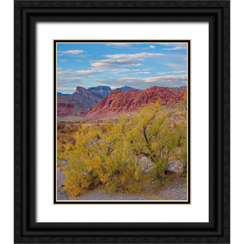 Fitzharris, Tim 12x14 Black Ornate Wood Framed with Double Matting ...