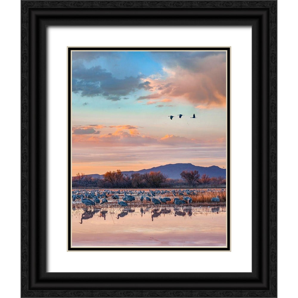 Fitzharris, Tim 12x14 Black Ornate Wood Framed with Double Matting ...