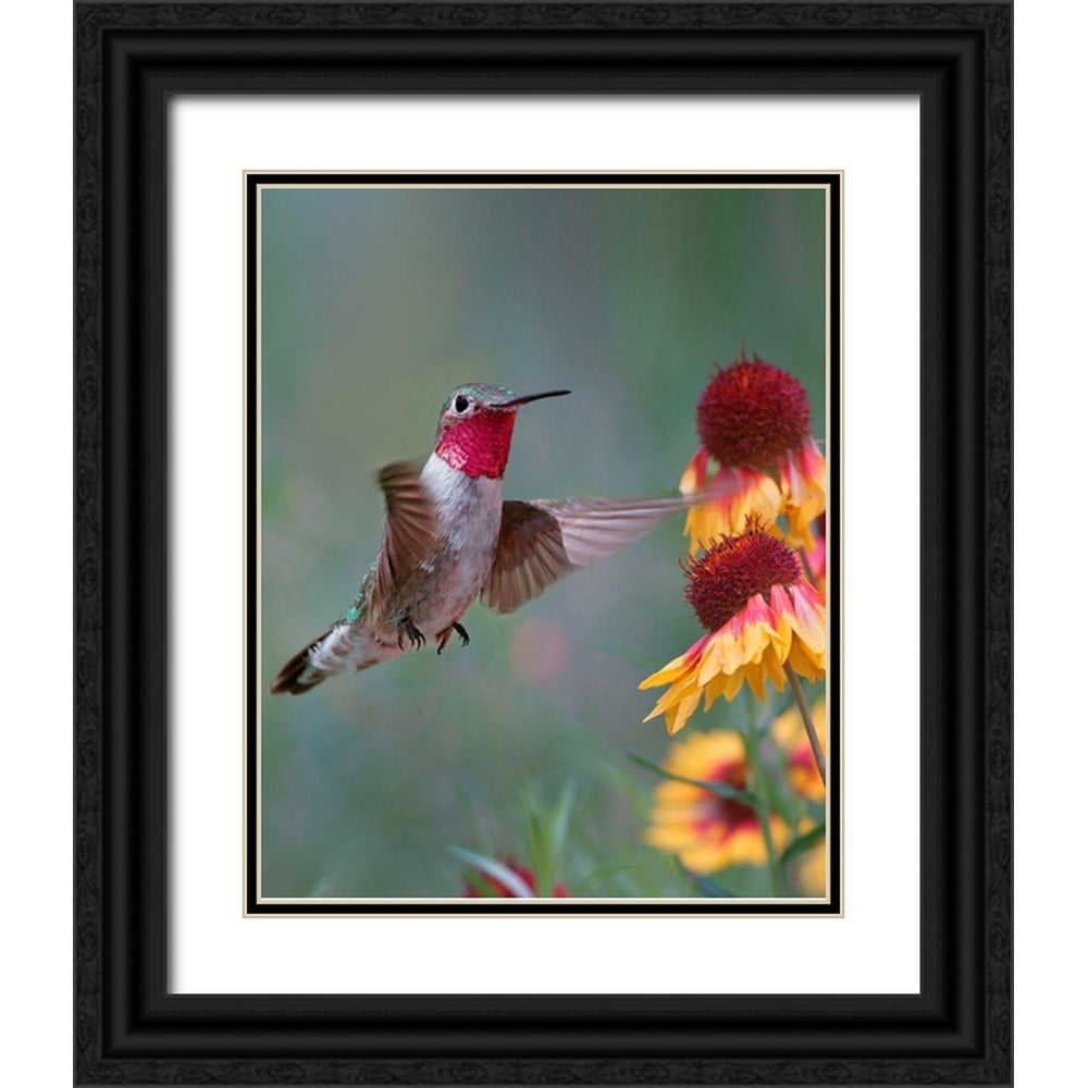 Fitzharris, Tim 12x14 Black Ornate Wood Framed with Double Matting ...