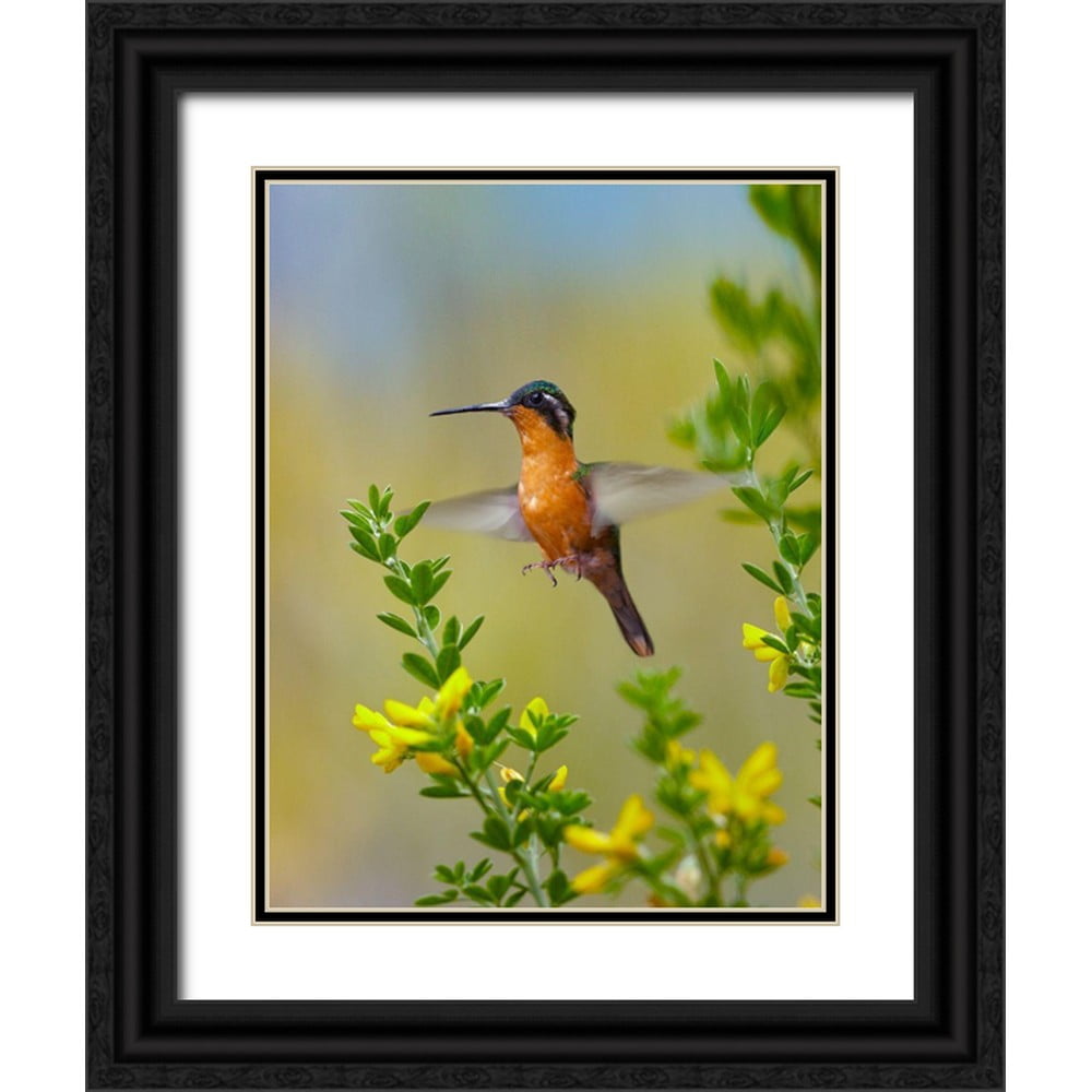 Fitzharris, Tim 12x14 Black Ornate Wood Framed with Double Matting ...