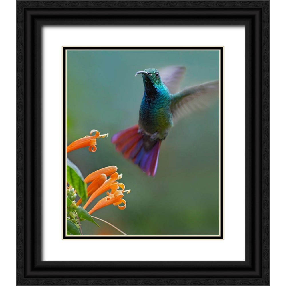Fitzharris, Tim 12x14 Black Ornate Wood Framed with Double Matting ...