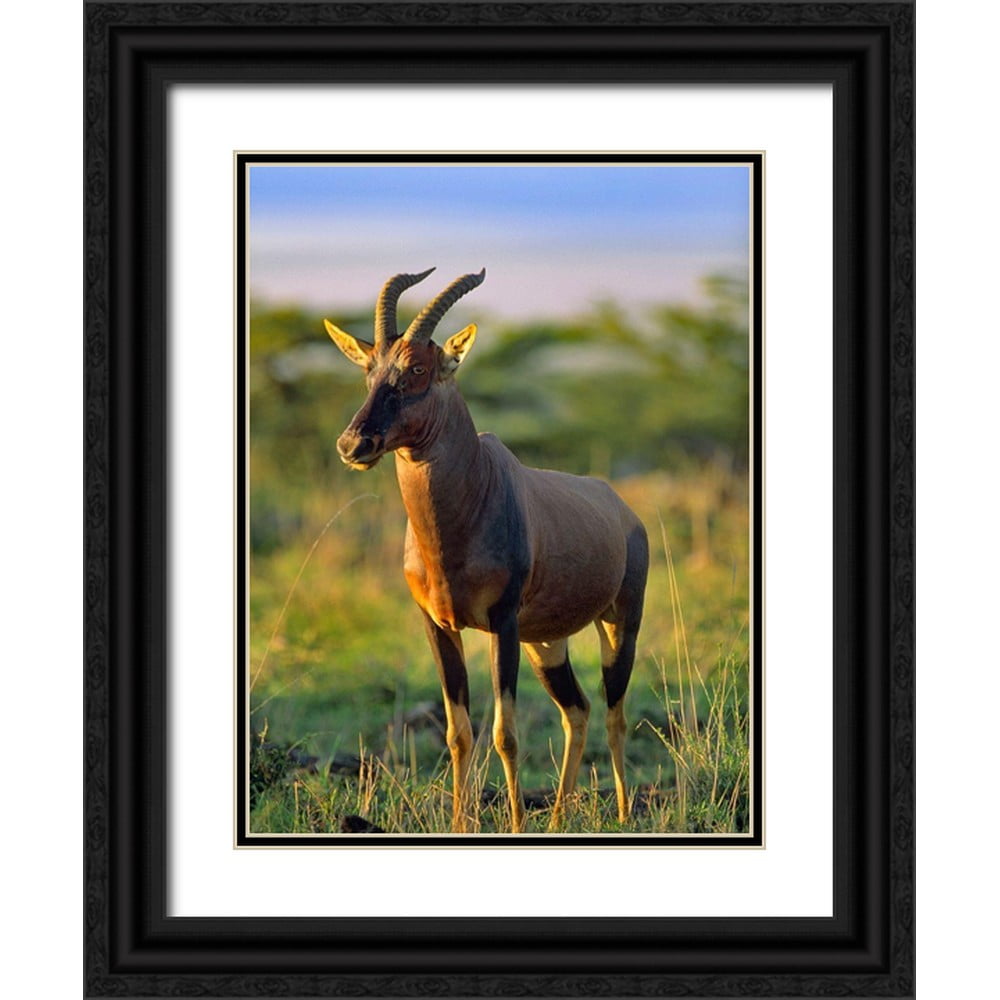 Fitzharris, Tim 12x14 Black Ornate Wood Framed with Double Matting ...