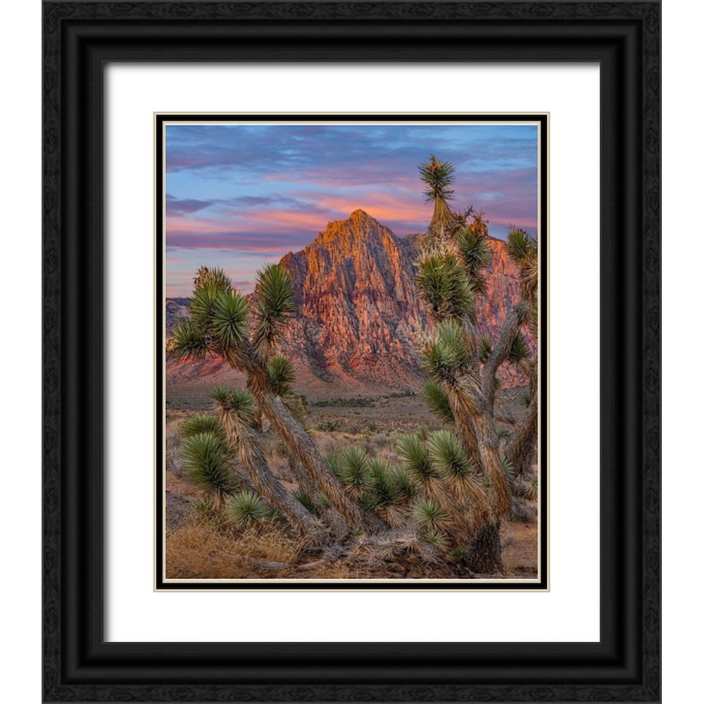 Fitzharris, Tim 12x14 Black Ornate Wood Framed with Double Matting ...