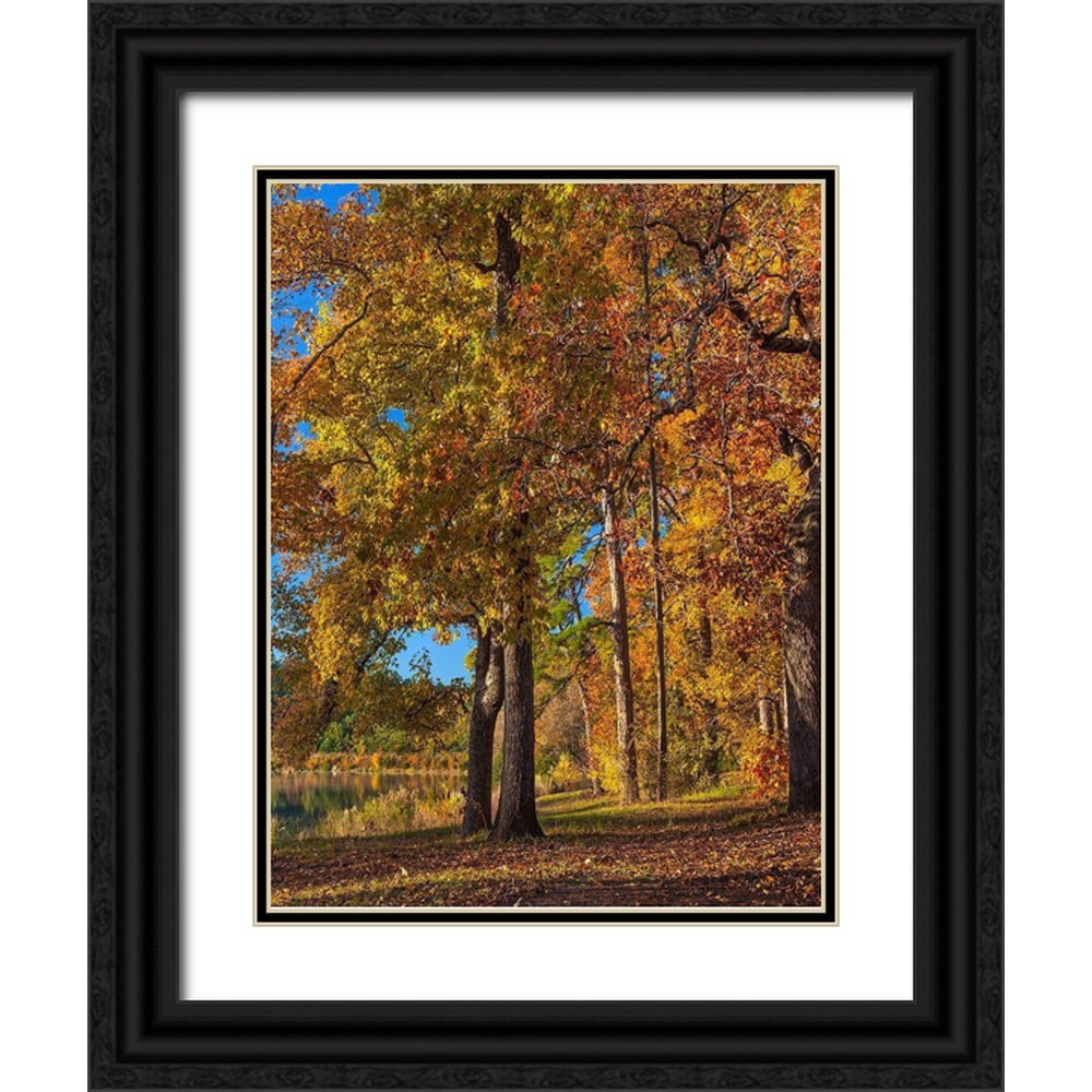 Fitzharris, Tim 12x14 Black Ornate Wood Framed with Double Matting ...