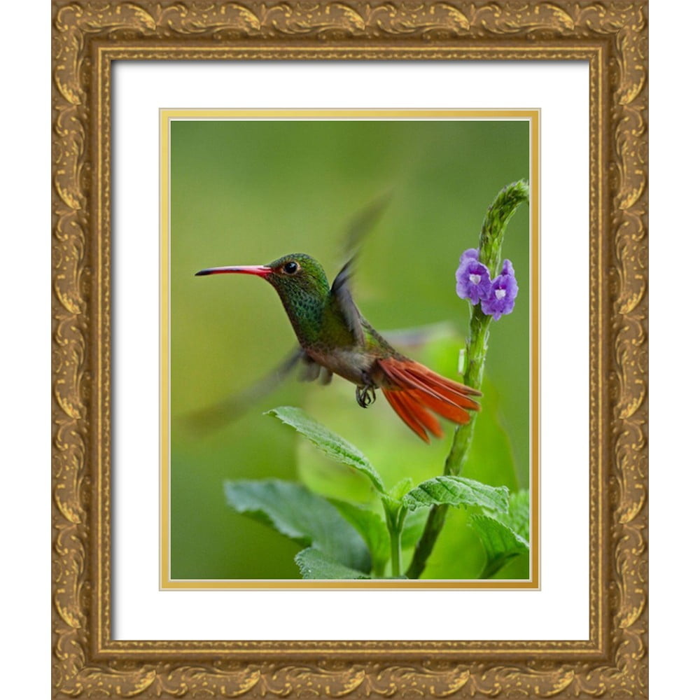 Fitzharris, Tim 12x14 Gold Ornate Wood Framed with Double Matting ...