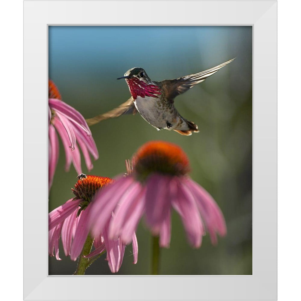 Fitzharris, Tim 12x14 White Modern Wood Framed Museum Art Print Titled ...