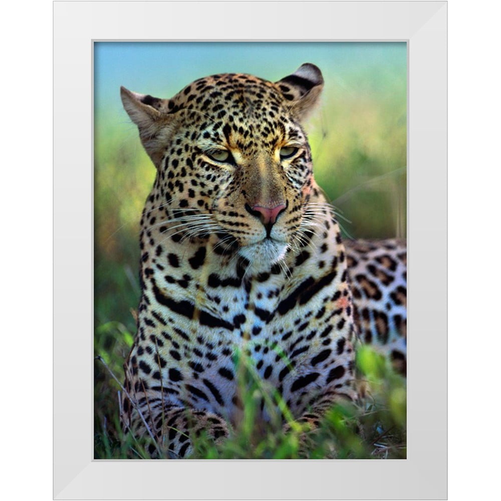 Fitzharris, Tim 12x14 White Modern Wood Framed Museum Art Print Titled ...