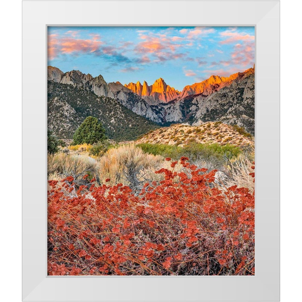 Fitzharris, Tim 12x14 White Modern Wood Framed Museum Art Print Titled ...