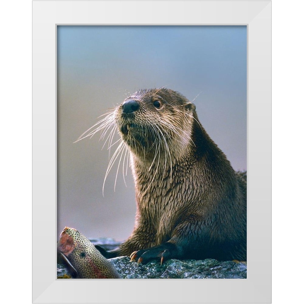 Fitzharris, Tim 12x14 White Modern Wood Framed Museum Art Print Titled ...