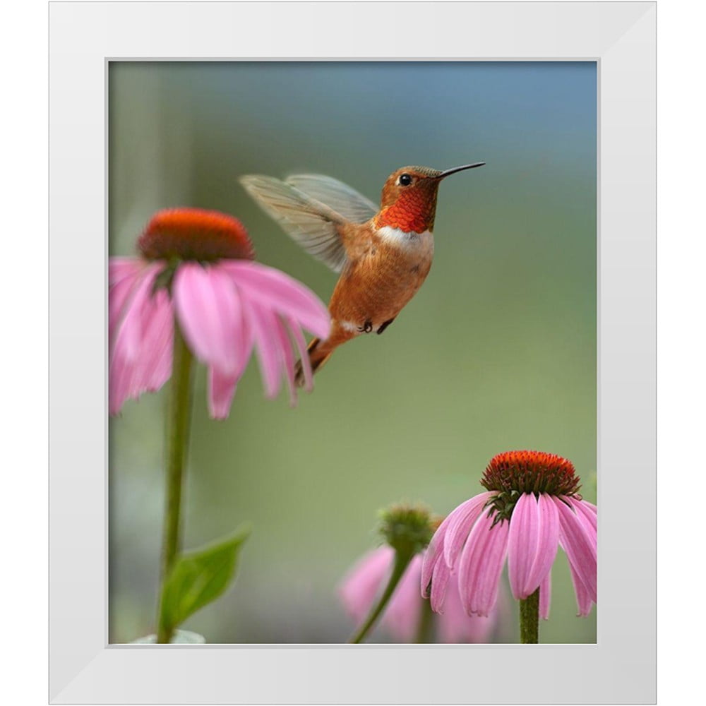 Fitzharris, Tim 12x14 White Modern Wood Framed Museum Art Print Titled ...