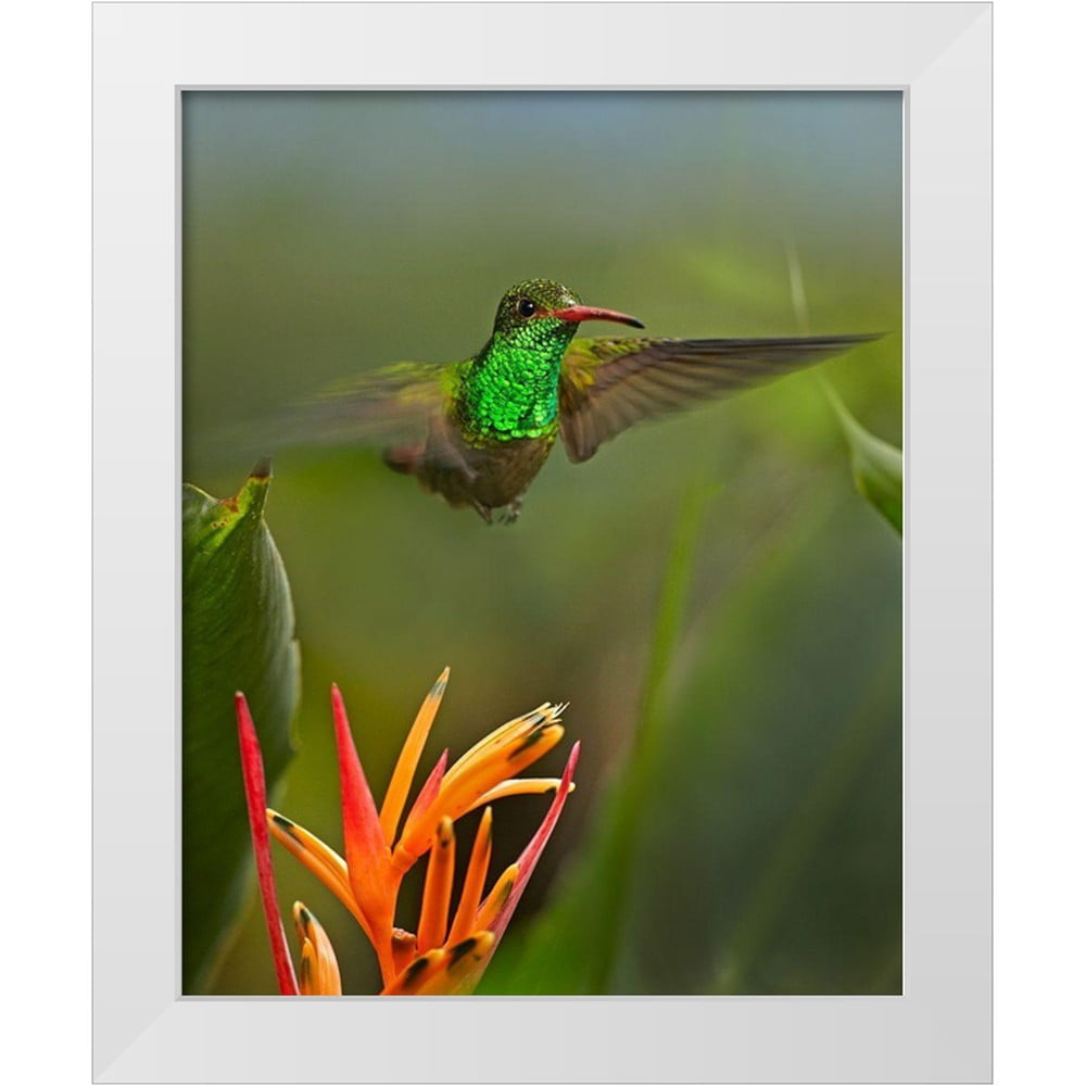 Fitzharris, Tim 12x14 White Modern Wood Framed Museum Art Print Titled ...