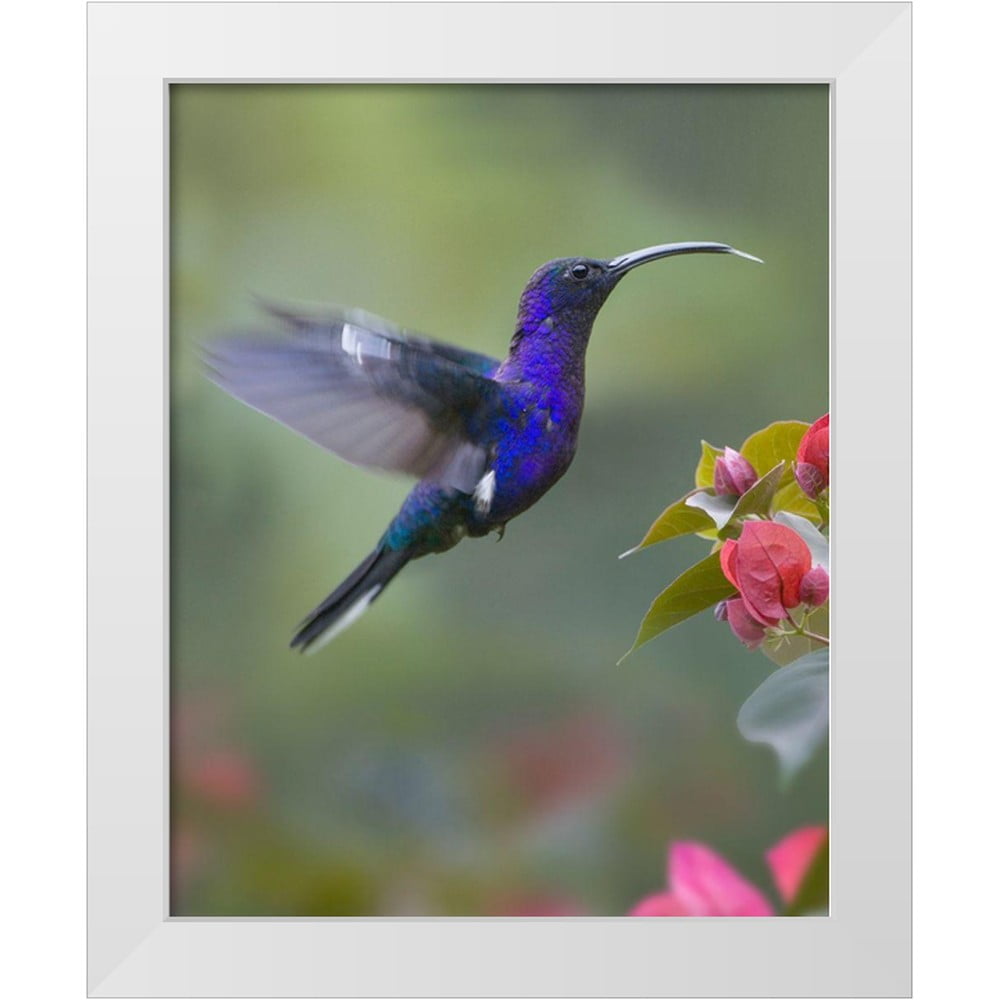 Fitzharris, Tim 12x14 White Modern Wood Framed Museum Art Print Titled ...