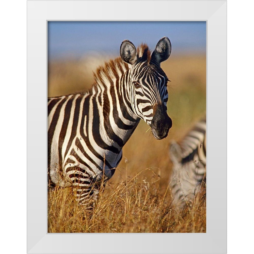 Fitzharris, Tim 12x14 White Modern Wood Framed Museum Art Print Titled ...