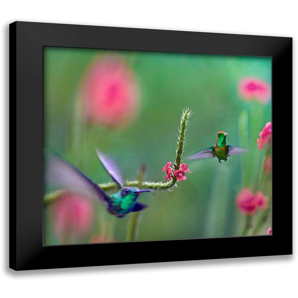 Fitzharris, Tim 13x12 Black Modern Framed Museum Art Print Titled ...