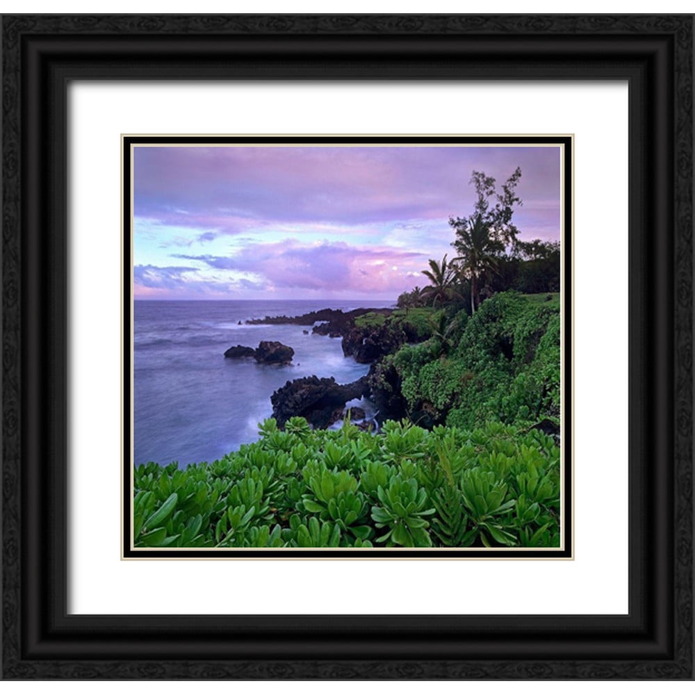 Fitzharris, Tim 13x12 Black Ornate Wood Framed with Double Matting ...