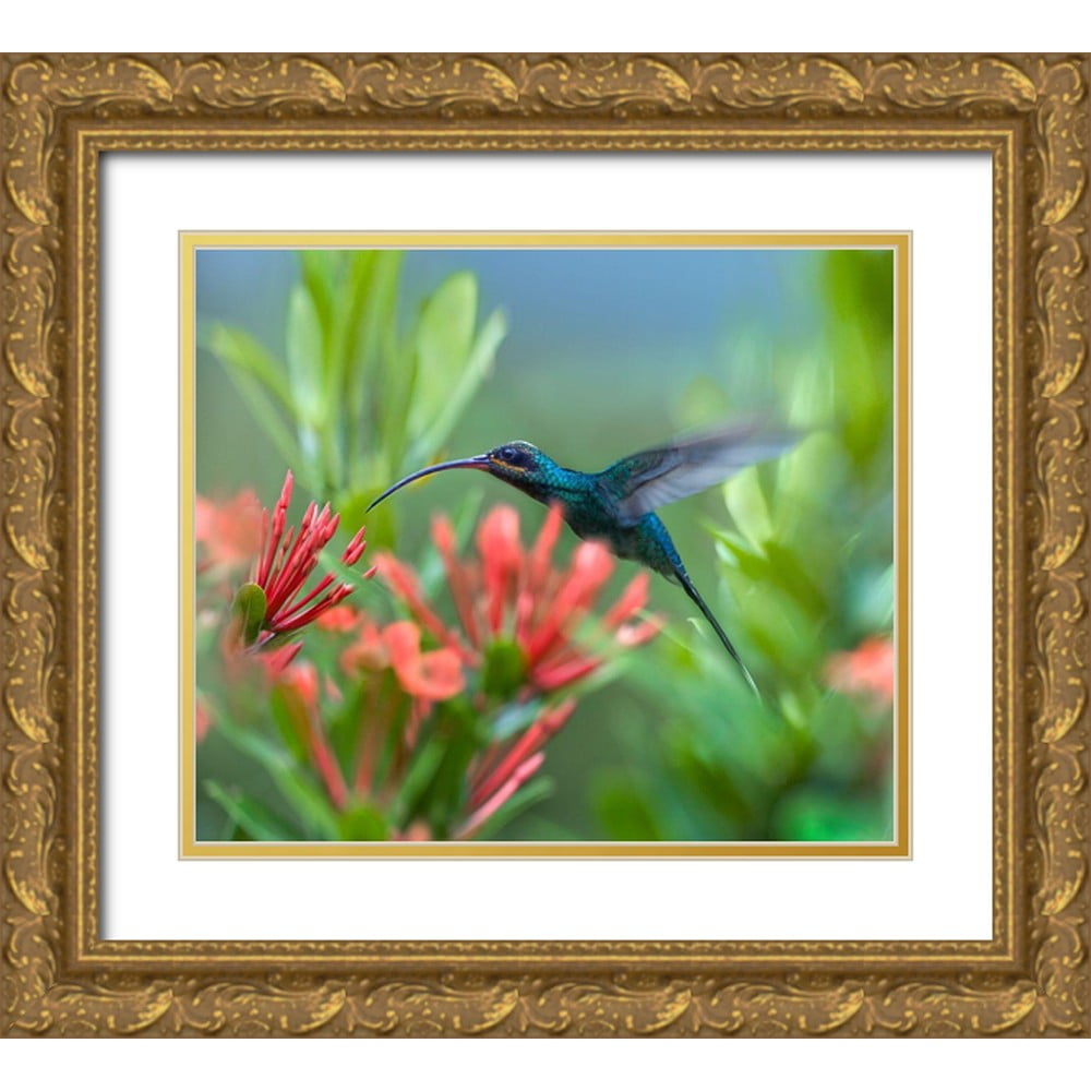 Fitzharris, Tim 13x12 Gold Ornate Wood Framed with Double Matting ...