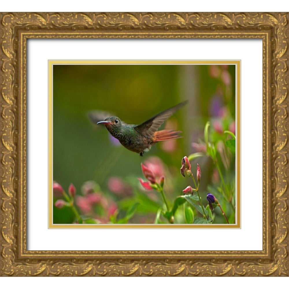 Fitzharris, Tim 13x12 Gold Ornate Wood Framed with Double Matting ...