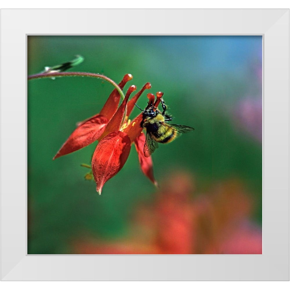 Fitzharris, Tim 13x12 White Modern Wood Framed Museum Art Print Titled ...