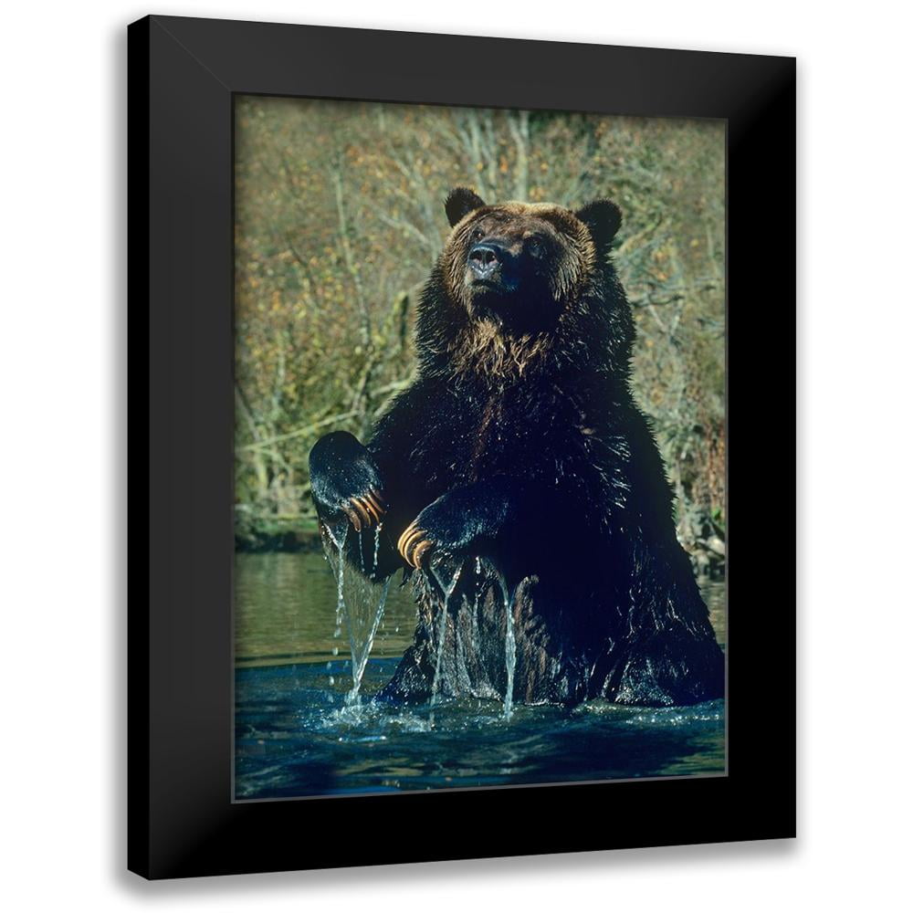 Fitzharris, Tim 13x18 Black Modern Framed Museum Art Print Titled ...