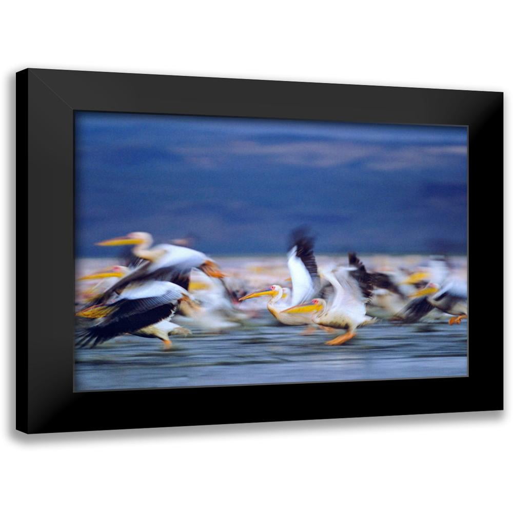 Fitzharris, Tim 14x11 Black Modern Framed Museum Art Print Titled ...