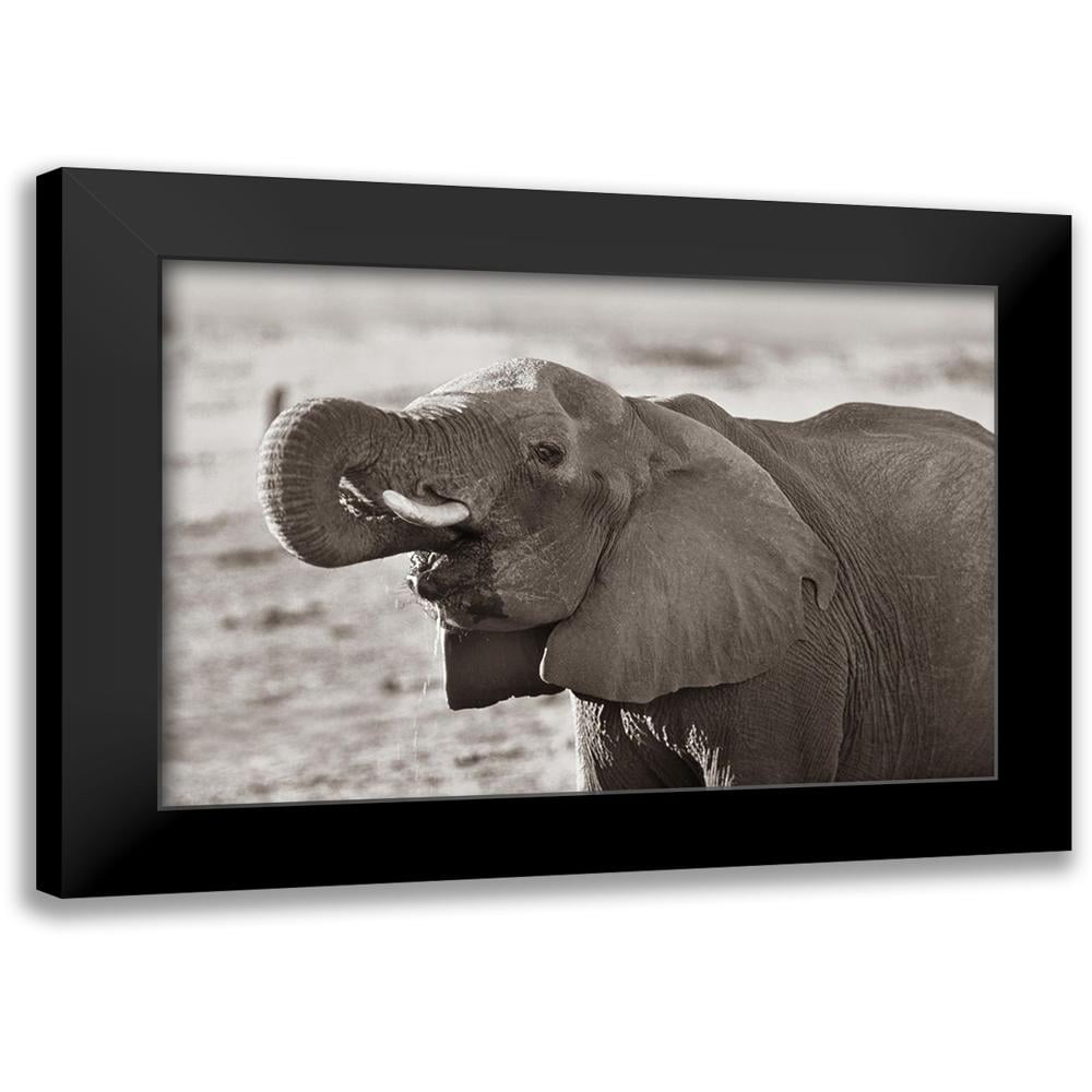 Fitzharris, Tim 14x11 Black Modern Framed Museum Art Print Titled ...