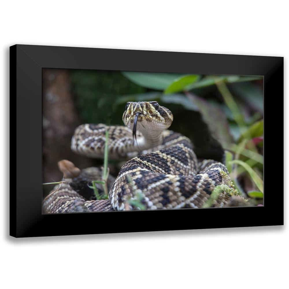 Fitzharris, Tim 14x11 Black Modern Framed Museum Art Print Titled ...