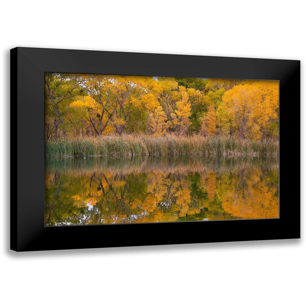 Fitzharris, Tim 14x11 Black Modern Framed Museum Art Print Titled ...