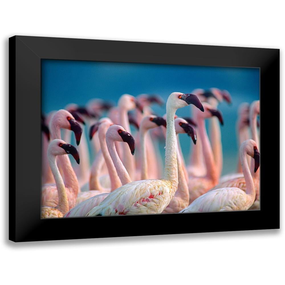 Fitzharris, Tim 14x11 Black Modern Framed Museum Art Print Titled ...