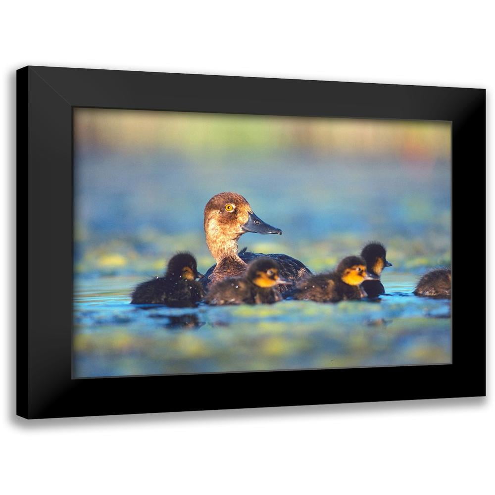 Fitzharris, Tim 14x11 Black Modern Framed Museum Art Print Titled ...