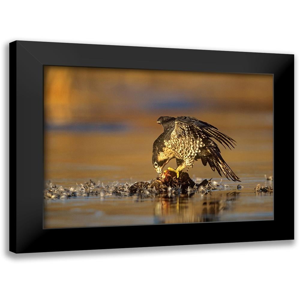 Fitzharris, Tim 14x11 Black Modern Framed Museum Art Print Titled ...