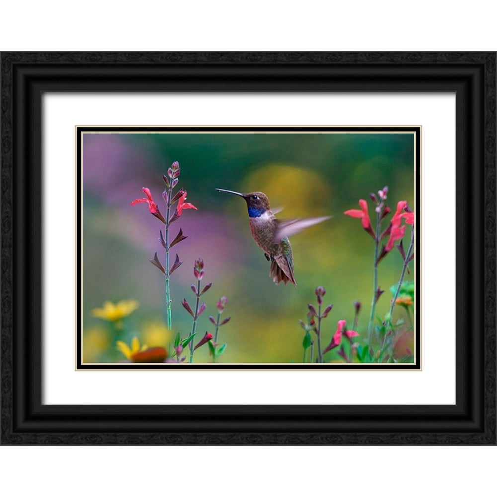 Fitzharris, Tim 14x11 Black Ornate Wood Framed with Double Matting ...