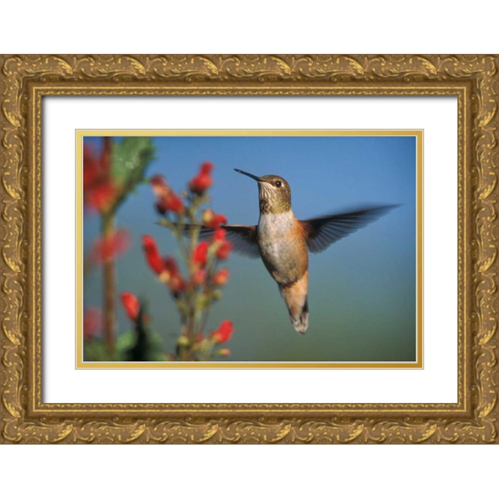 Fitzharris, Tim 14x11 Gold Ornate Wood Framed with Double Matting ...