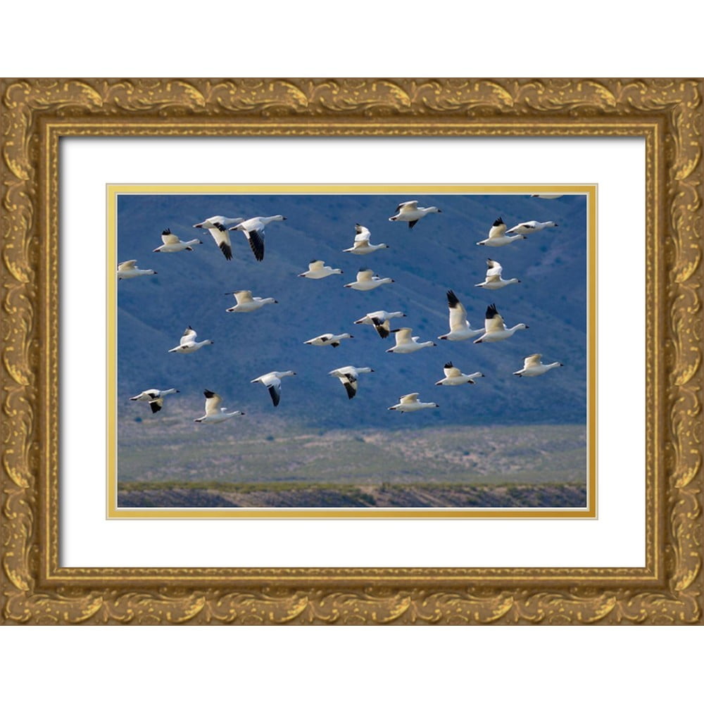 Fitzharris, Tim 14x11 Gold Ornate Wood Framed with Double Matting ...