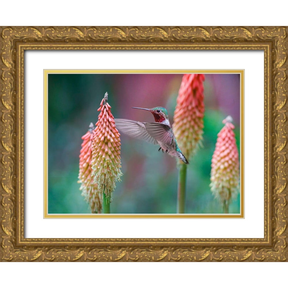 Fitzharris, Tim 14x11 Gold Ornate Wood Framed with Double Matting ...