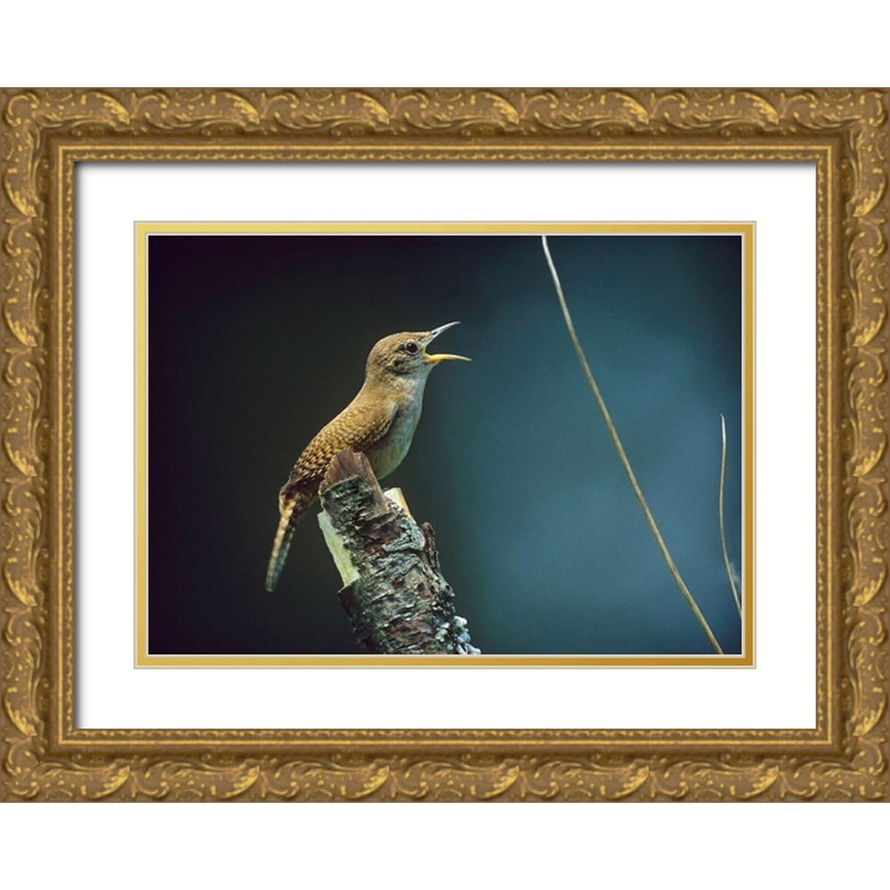Fitzharris, Tim 14x11 Gold Ornate Wood Framed with Double Matting ...