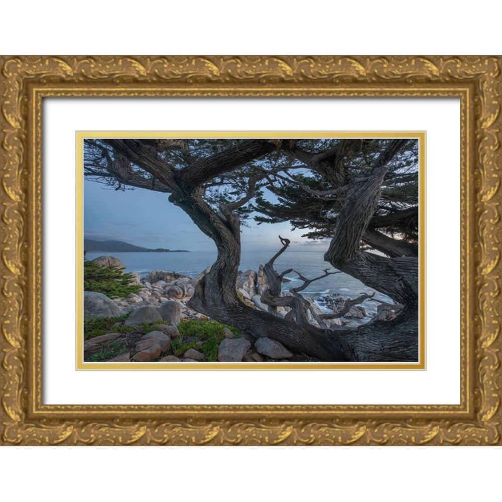 Fitzharris, Tim 14x11 Gold Ornate Wood Framed with Double Matting ...