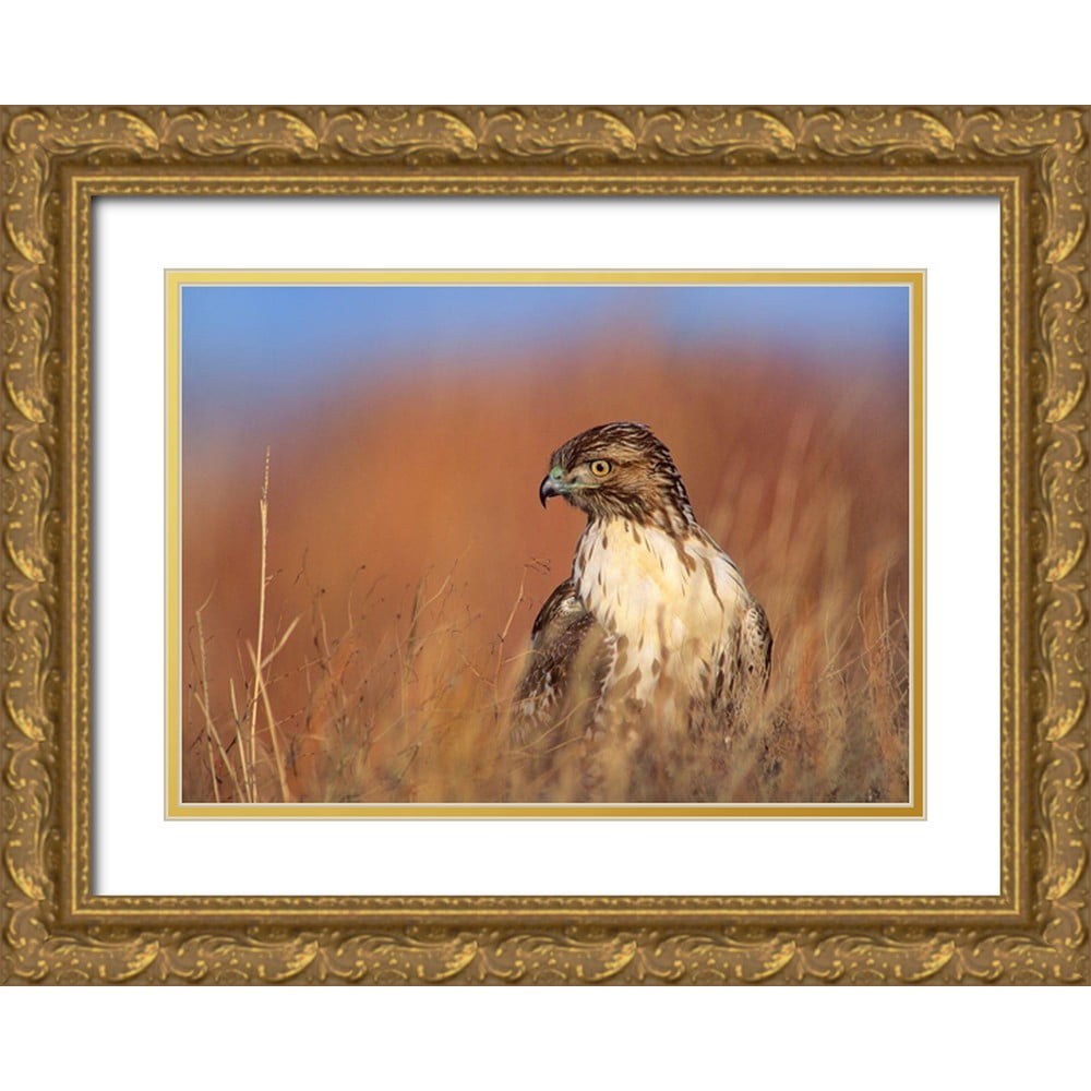 Fitzharris, Tim 14x11 Gold Ornate Wood Framed with Double Matting ...