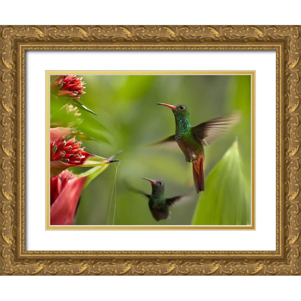 Fitzharris, Tim 14x11 Gold Ornate Wood Framed with Double Matting ...