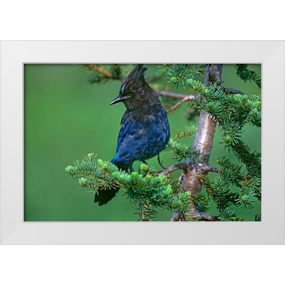 Fitzharris, Tim 14x11 White Modern Wood Framed Museum Art Print Titled ...