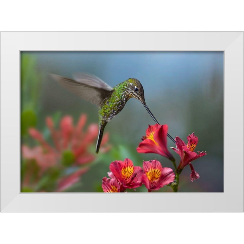 Fitzharris, Tim 14x11 White Modern Wood Framed Museum Art Print Titled ...
