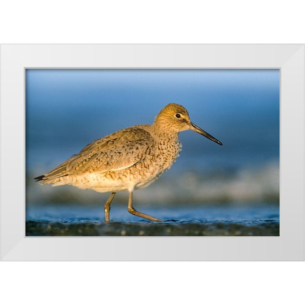 Fitzharris, Tim 14x11 White Modern Wood Framed Museum Art Print Titled ...