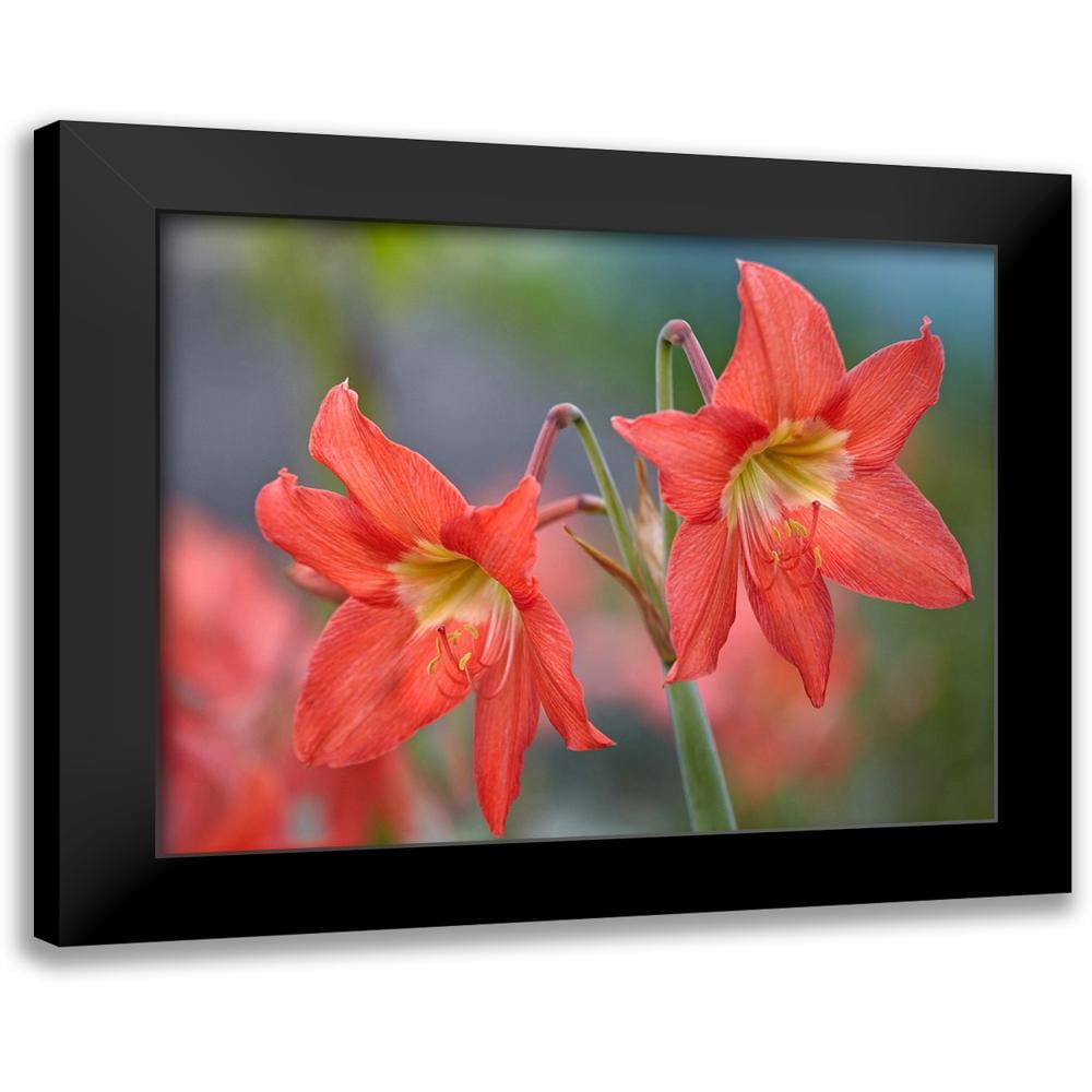 Fitzharris, Tim 14x12 Black Modern Framed Museum Art Print Titled ...