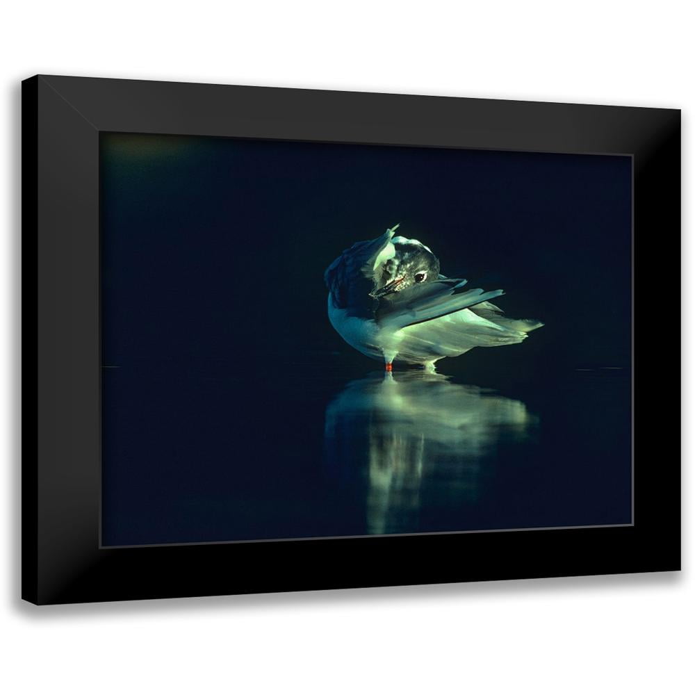 Fitzharris, Tim 14x12 Black Modern Framed Museum Art Print Titled ...