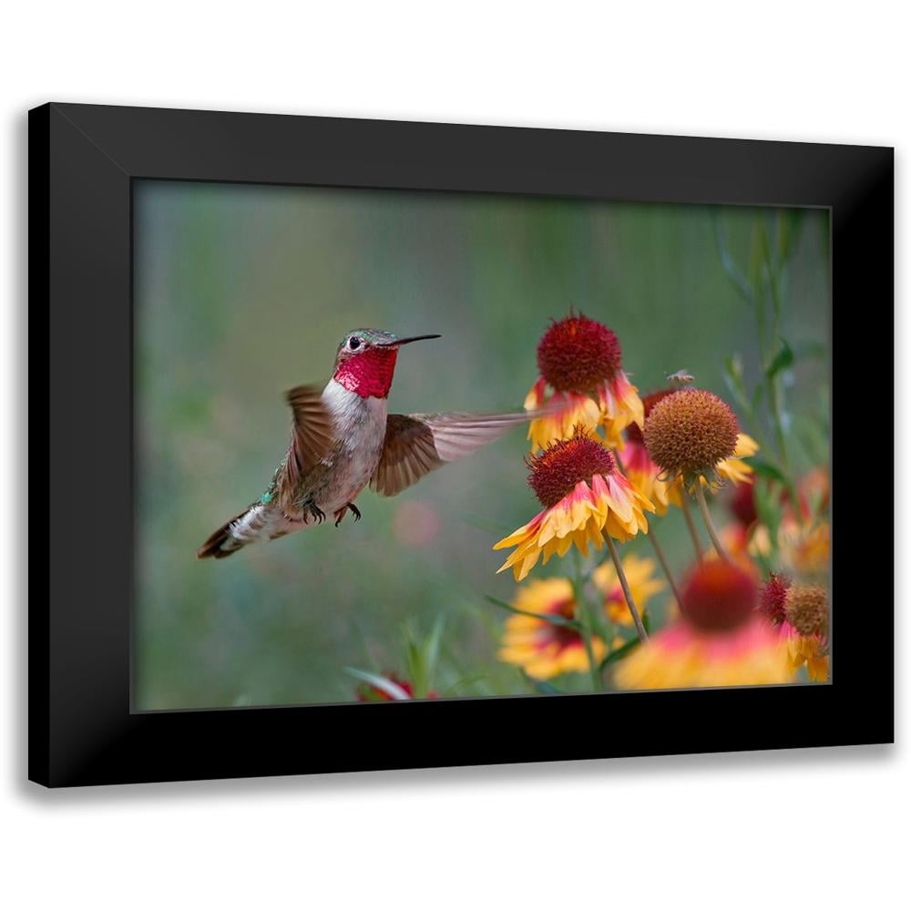 Fitzharris, Tim 14x12 Black Modern Framed Museum Art Print Titled ...