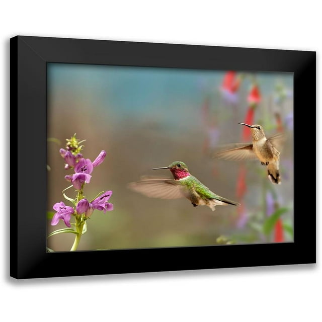 Fitzharris, Tim 14x12 Black Modern Framed Museum Art Print Titled ...