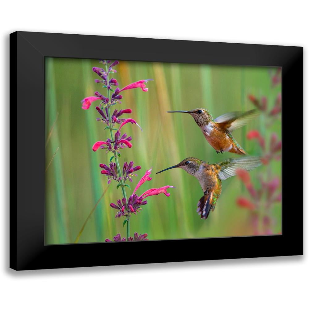 Fitzharris, Tim 14x12 Black Modern Framed Museum Art Print Titled ...