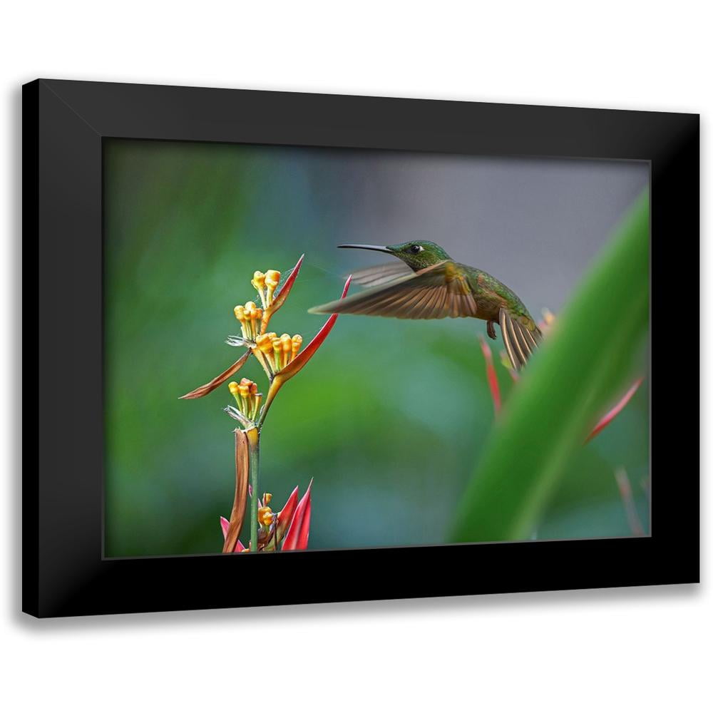 Fitzharris, Tim 14x12 Black Modern Framed Museum Art Print Titled ...