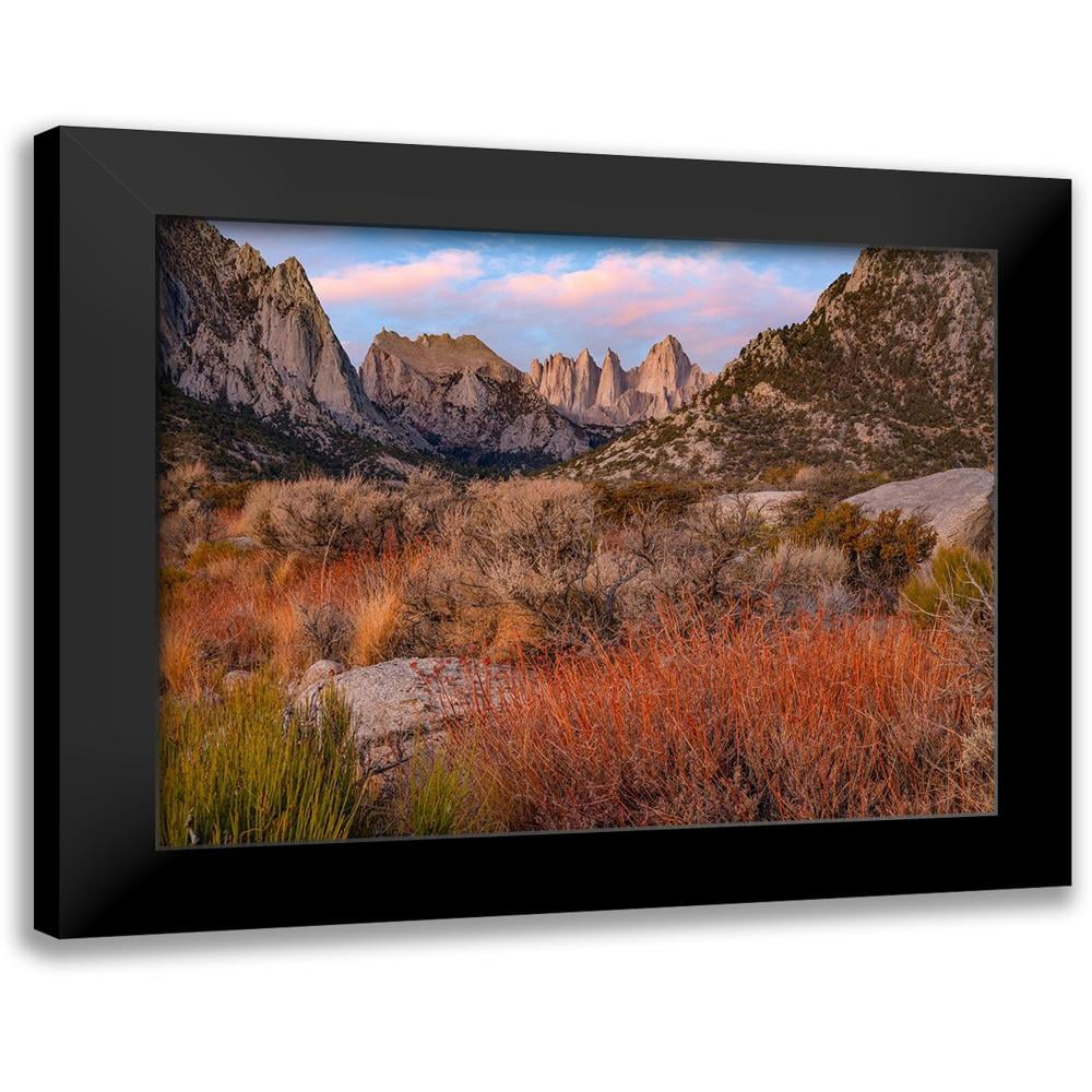 Fitzharris, Tim 14x12 Black Modern Framed Museum Art Print Titled ...