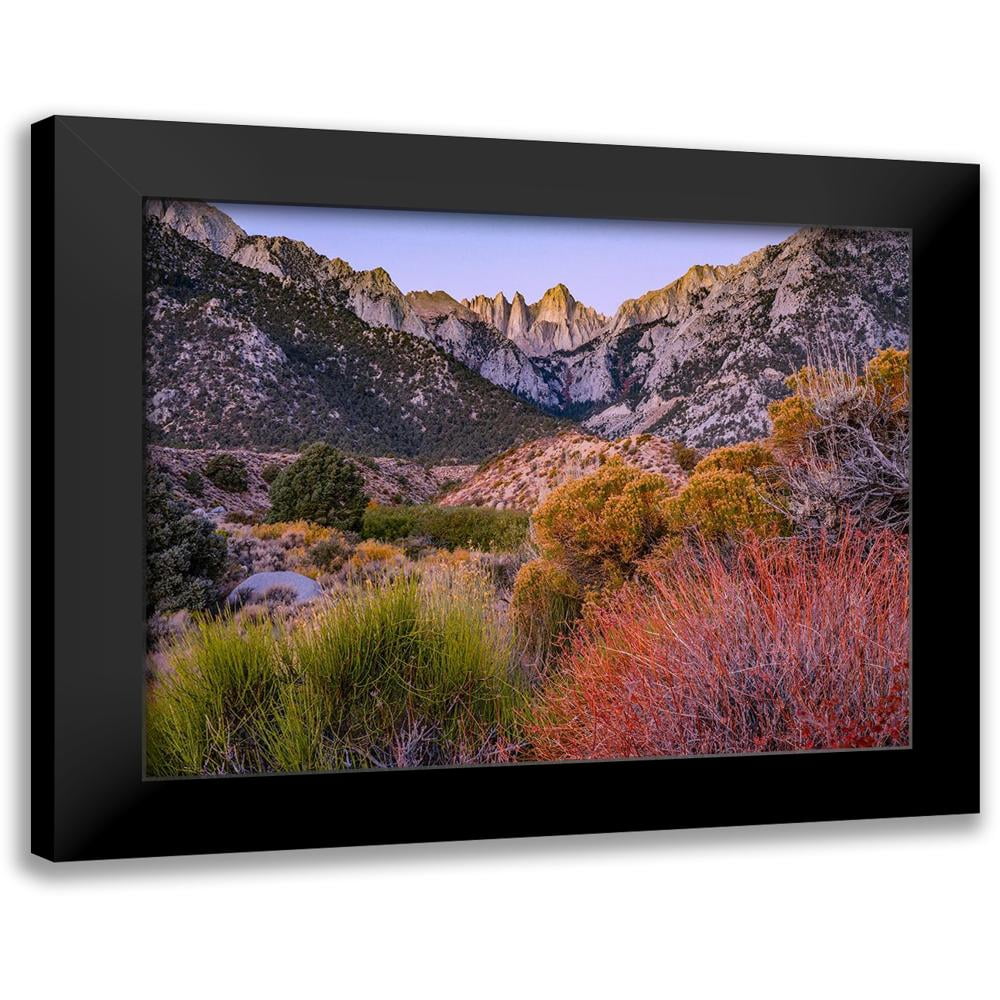 Fitzharris, Tim 14x12 Black Modern Framed Museum Art Print Titled ...